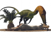 Novo guia completo dos dinossauros do Brasil - Editora Peirópolis
