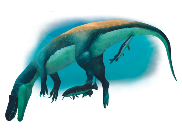 Novo guia completo dos dinossauros do Brasil - Editora Peirópolis