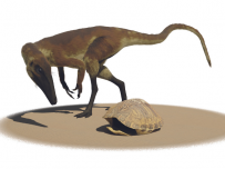 Novo guia completo dos dinossauros do Brasil - Editora Peirópolis